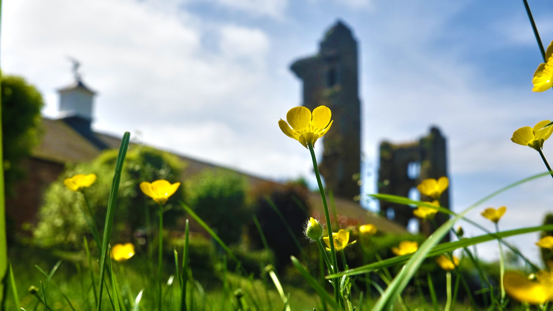 Cyclone History – Your gateway to the largest tropical cyclone database ...